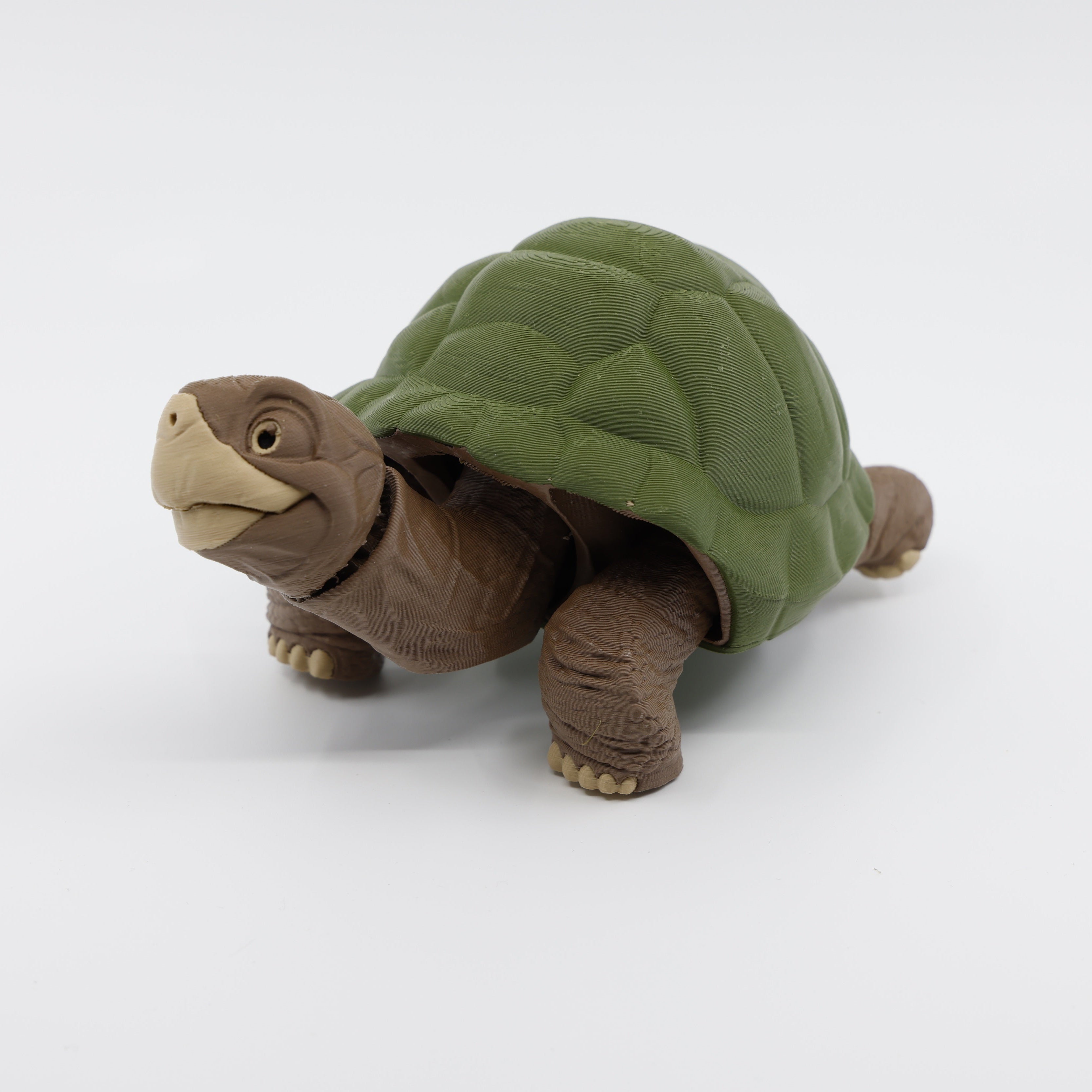 3D Printed Turtle Fidget | Articulated Animal Figure | AUS – Atriox